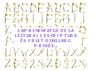 Teoria curset lectoescriptura | PPT