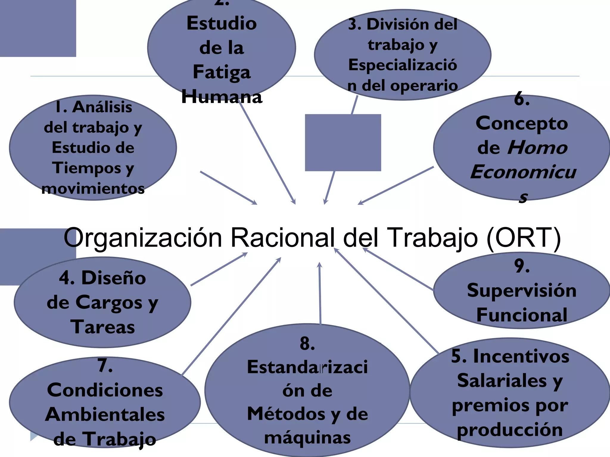 teoria de la administracion.pptx