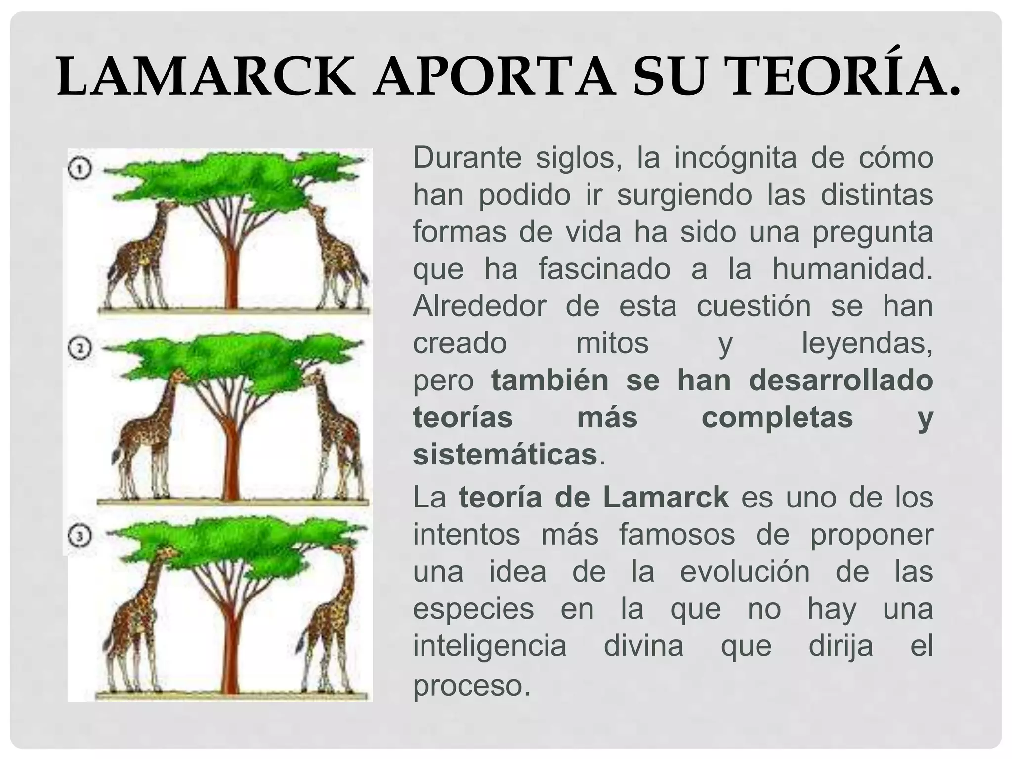 Teoria de Lamarck | PPTX
