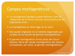 Campos Mórficos y Morfogenéticos | PPTX