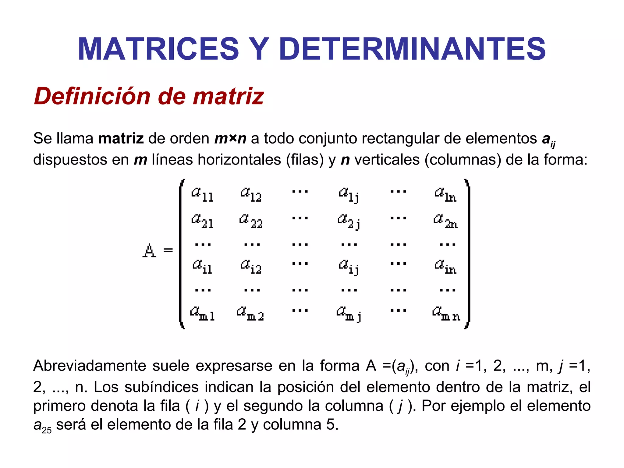 Teoria De Matrices Y Determinantes | PPT