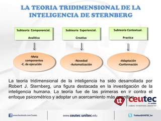 Teoria de sternberg | PPT