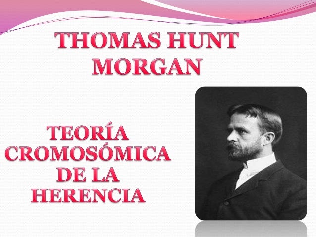 Descubre la Teoría de Morgan: Una Perspectiva Innovadora ★ Teoría Online