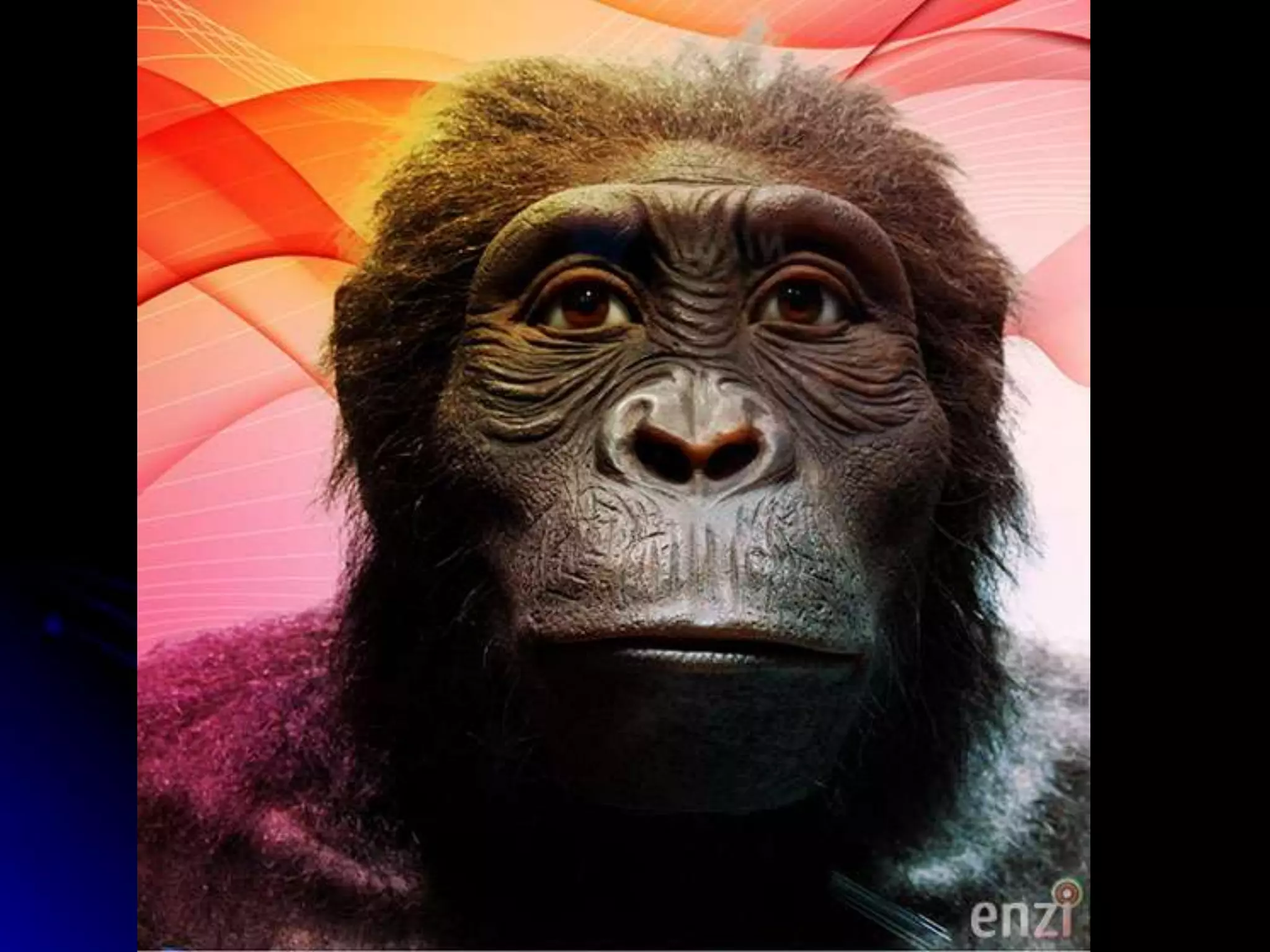 Teoria evolutionista | PPTX