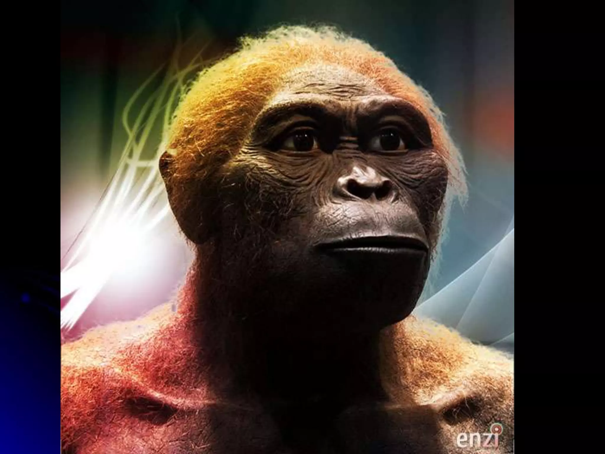 Teoria evolutionista | PPTX
