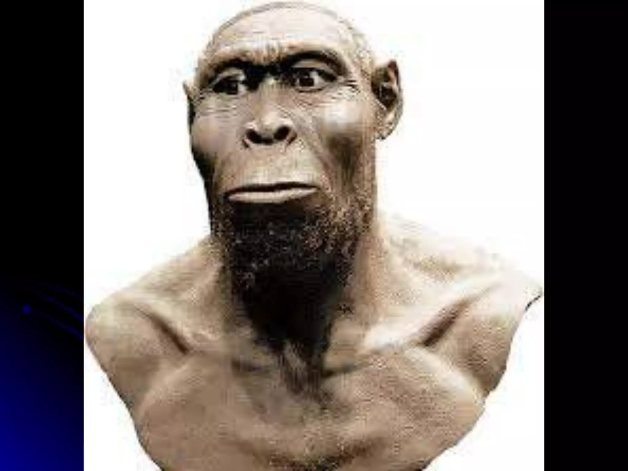 Teoria evolutionista | PPTX
