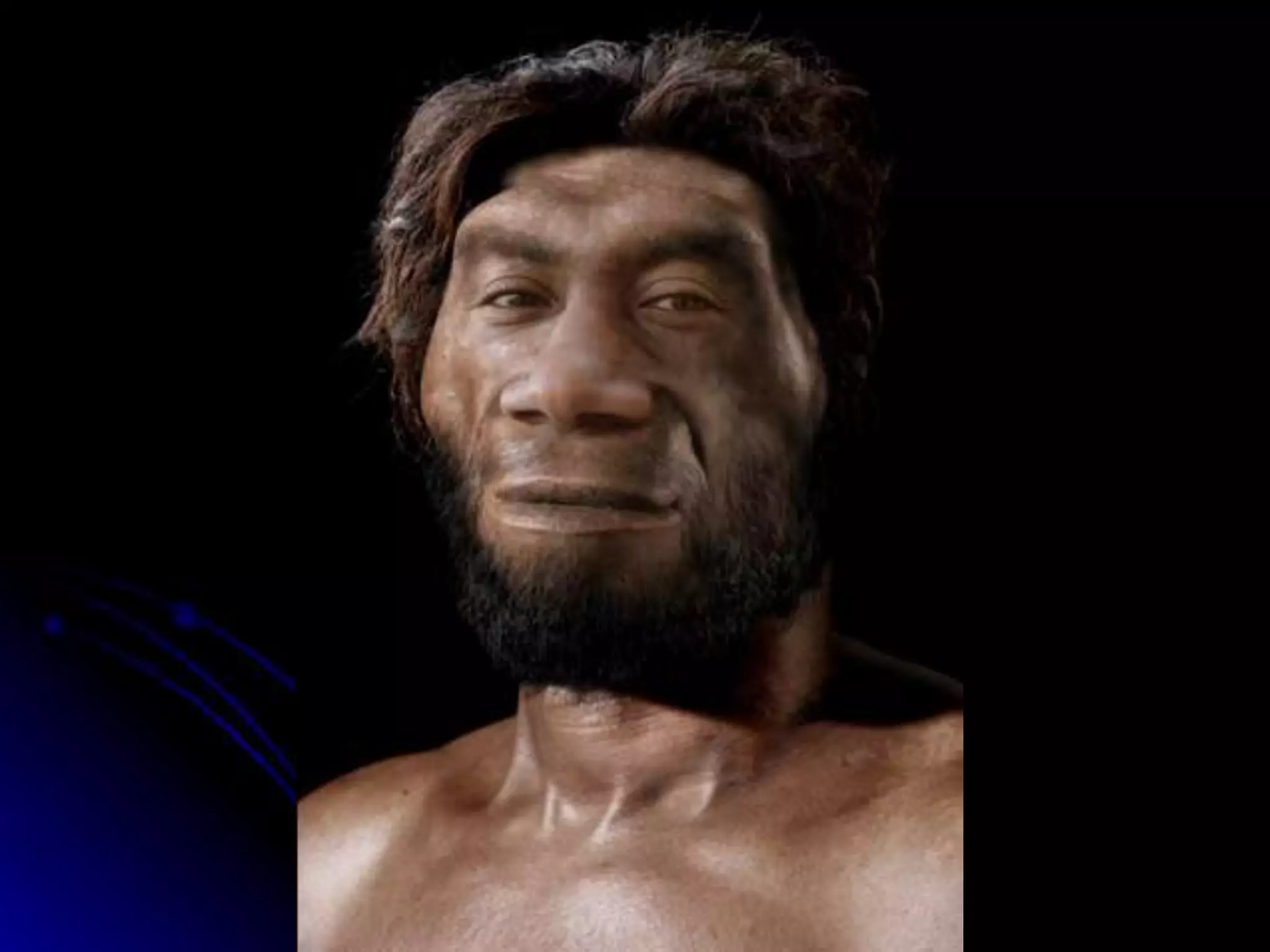 Teoria evolutionista | PPTX