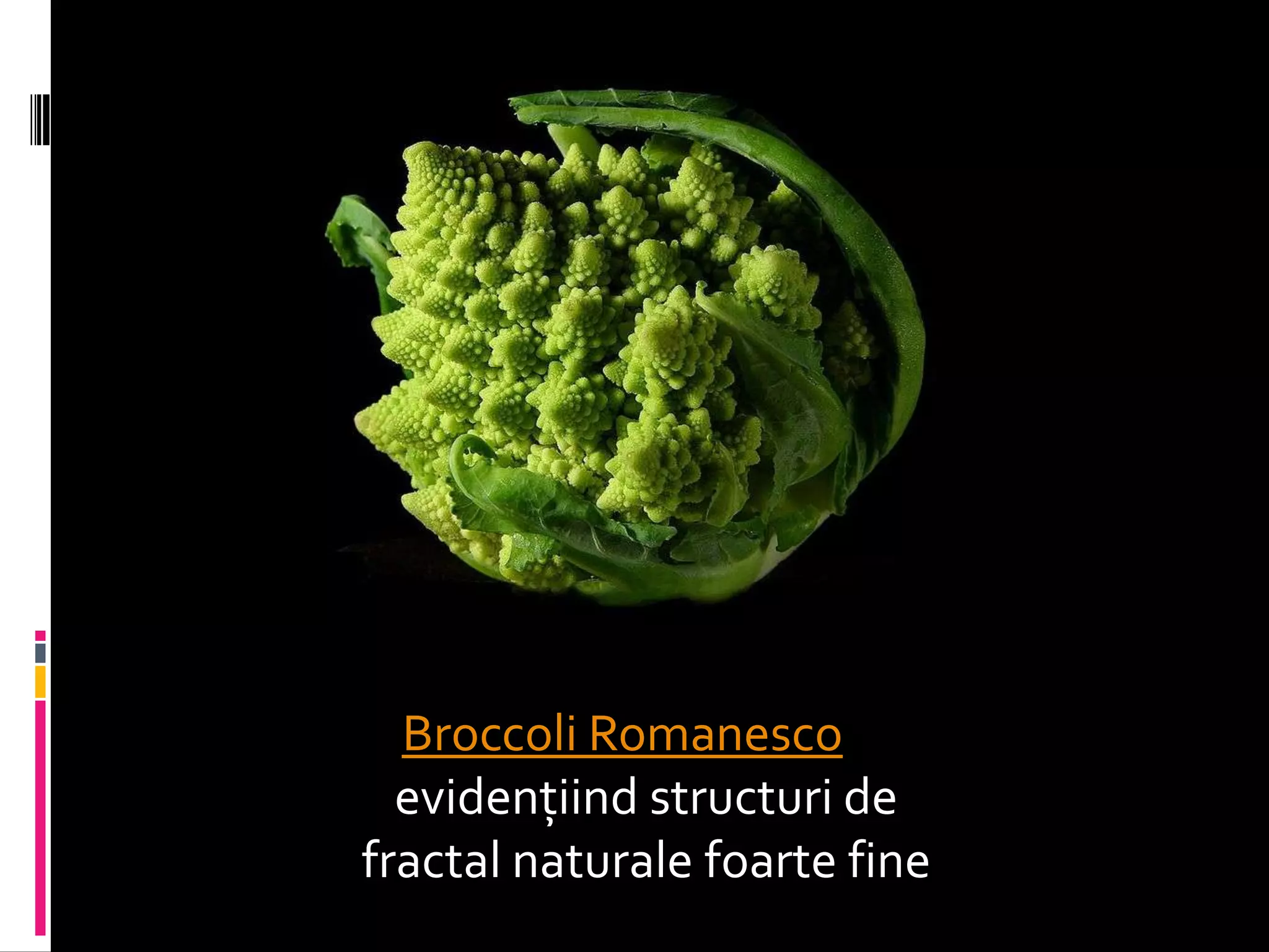 Teoria haosului 3 | PPTX