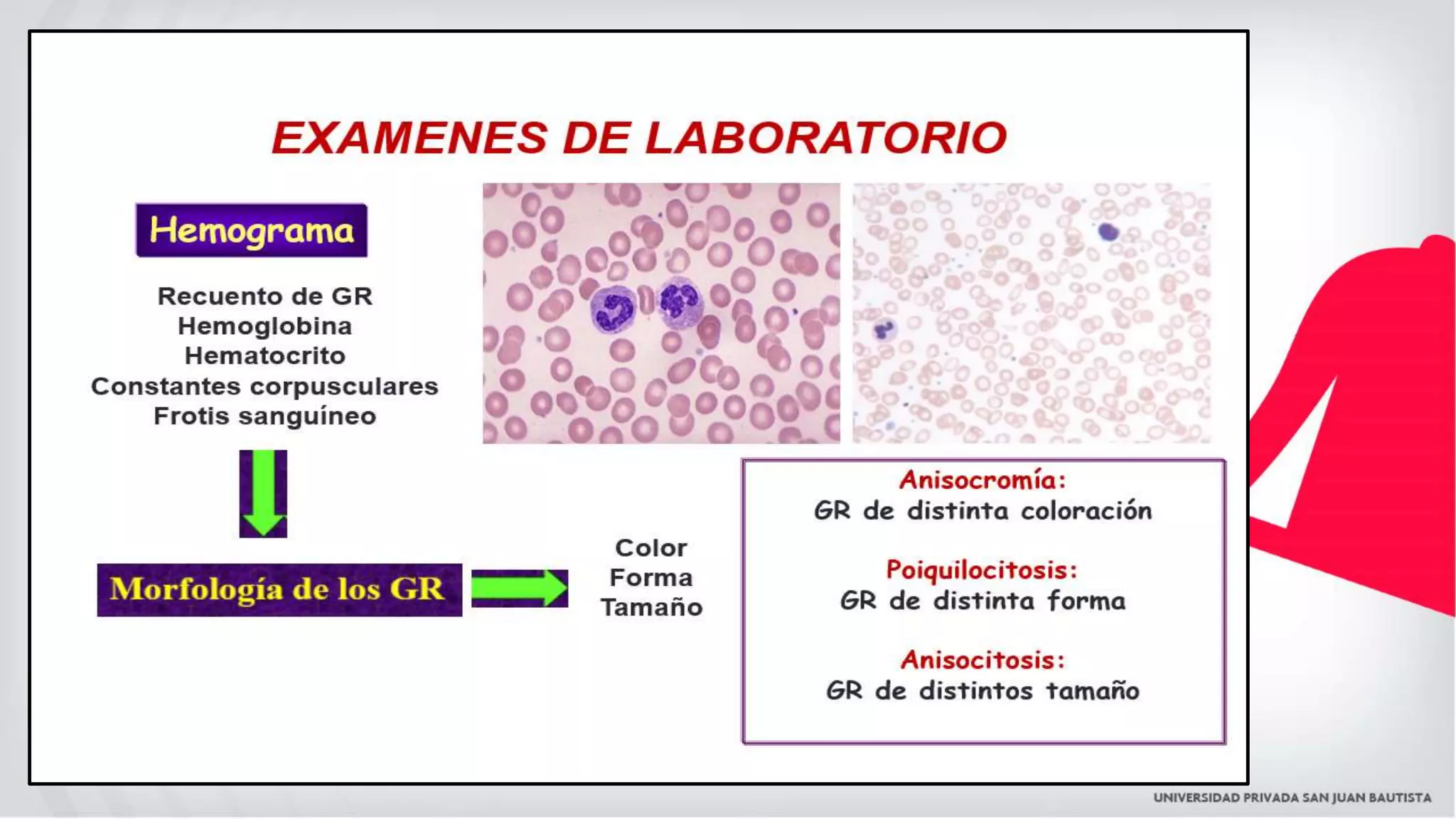 HEMOGRAMA Y ANEMIAS | PPTX