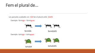Teoria la g, la j, la tg i tj | PDF