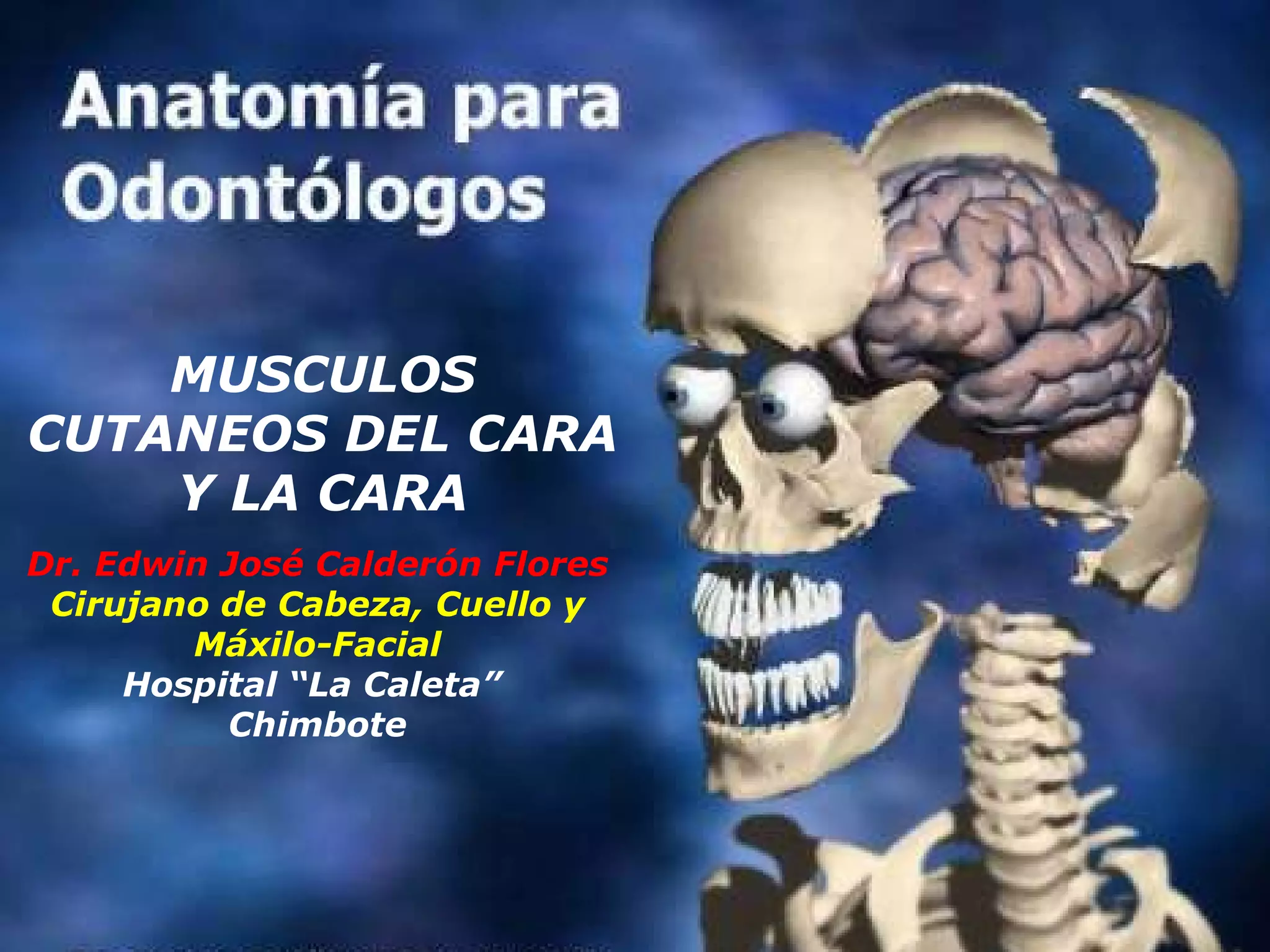 MUSCULOS CUTANEOS DEL CRANEO Y CARA | PPT