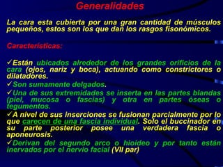 MUSCULOS CUTANEOS DEL CRANEO Y CARA | PPT