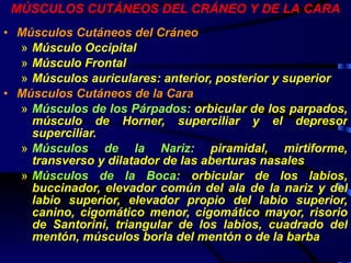 MUSCULOS CUTANEOS DEL CRANEO Y CARA | PPT