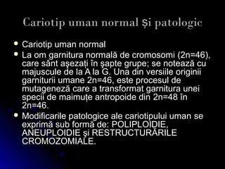 Teoria mutatiilor | PPT