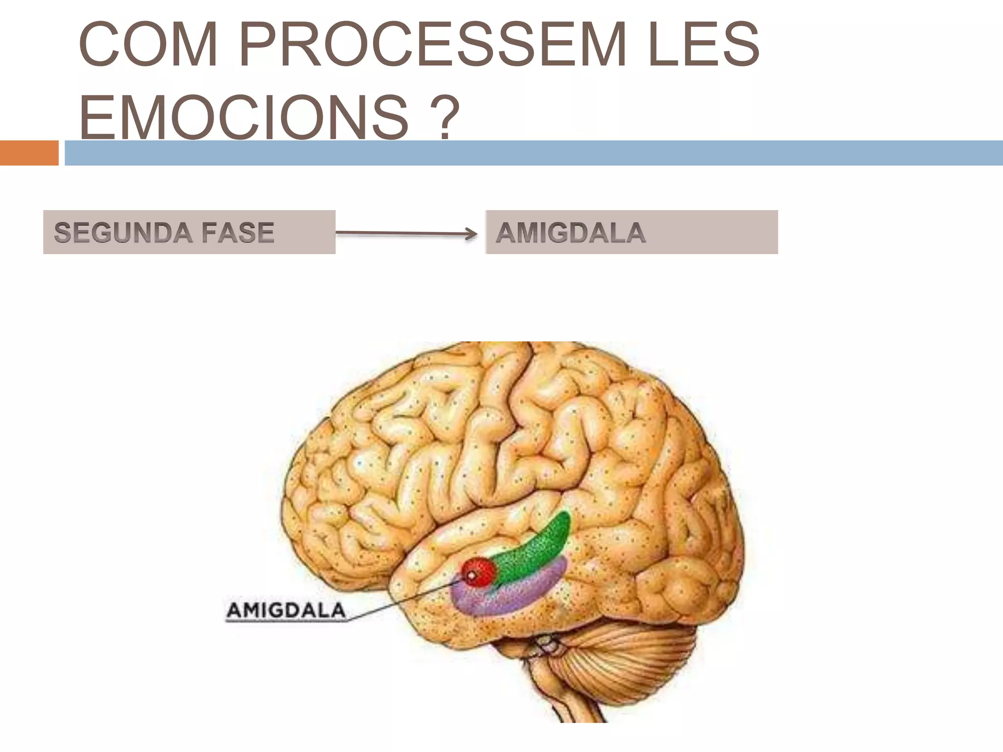 Teoria pass i les emocions | PPTX