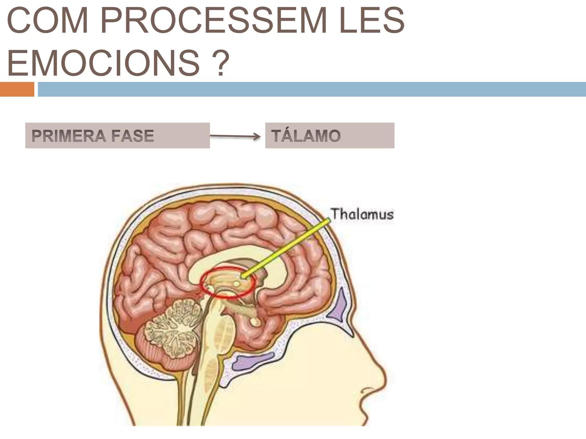 Teoria pass i les emocions | PPTX