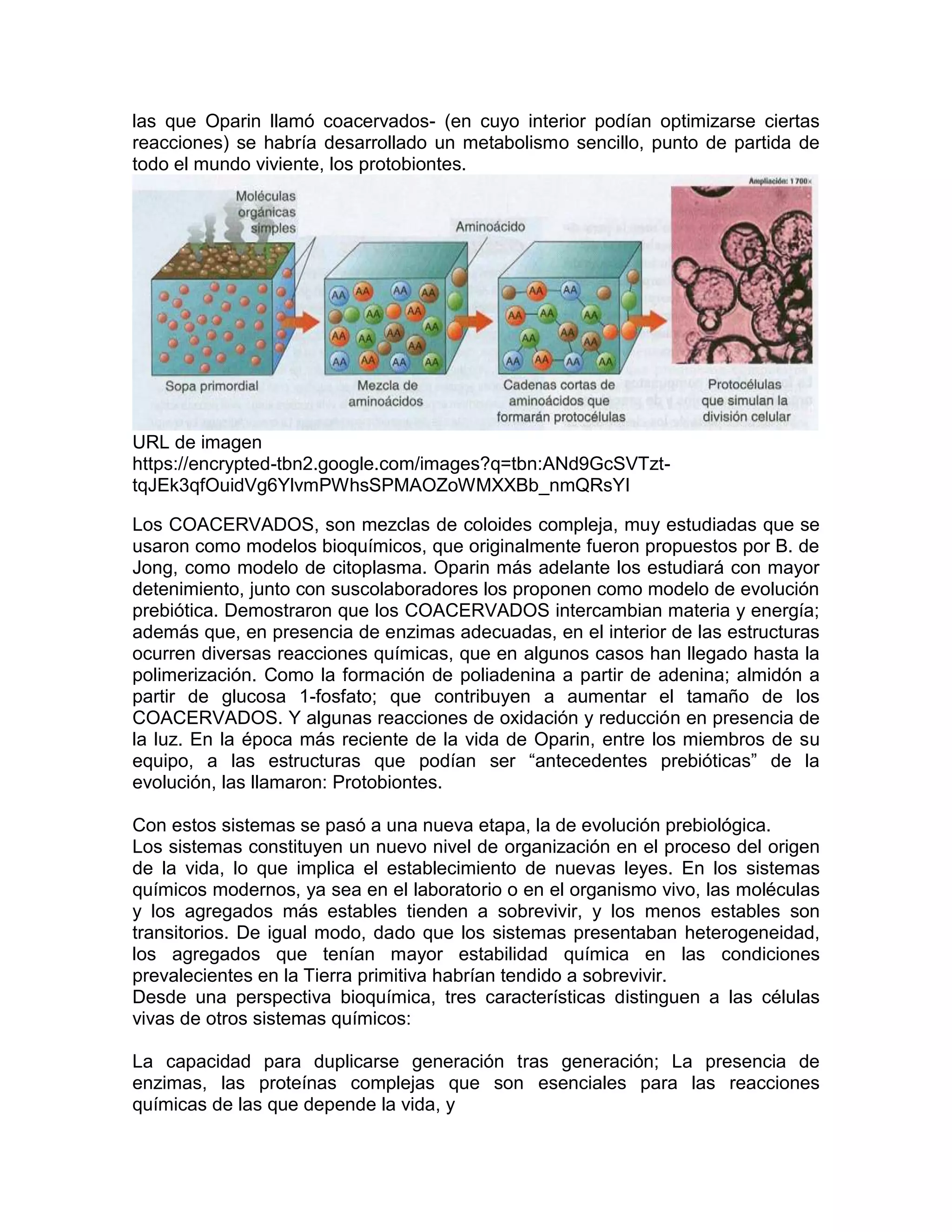 Teoria quimiosintetica. para combinar | PDF