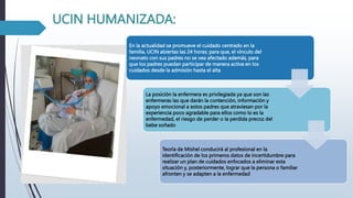 TEORIA RM UCIN INCERTIDUMBRE final (1).pptx