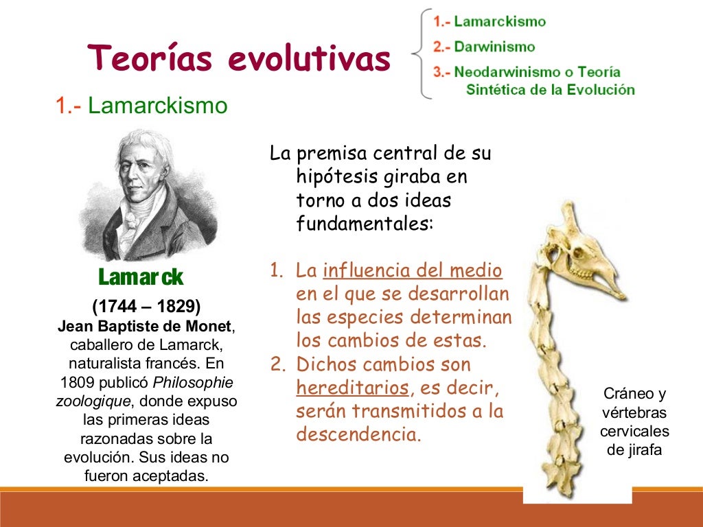 Resumen de la teoría evolucionista: todo lo que necesitas saber ...