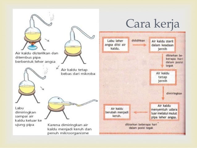 Teori asal usul kehidupan