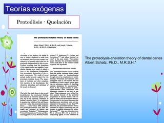 Teorias caries | PPTX