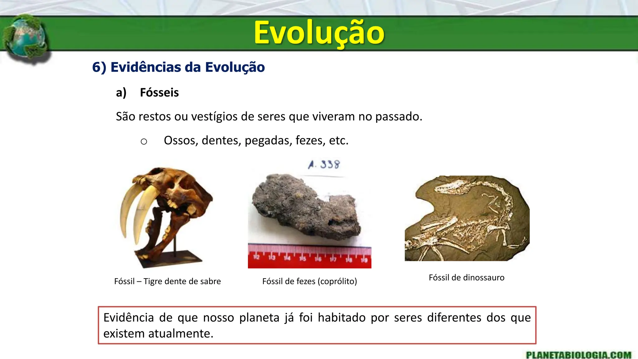 Teorias da Evolução e slides sobre darwnismo e evoulao | PPT