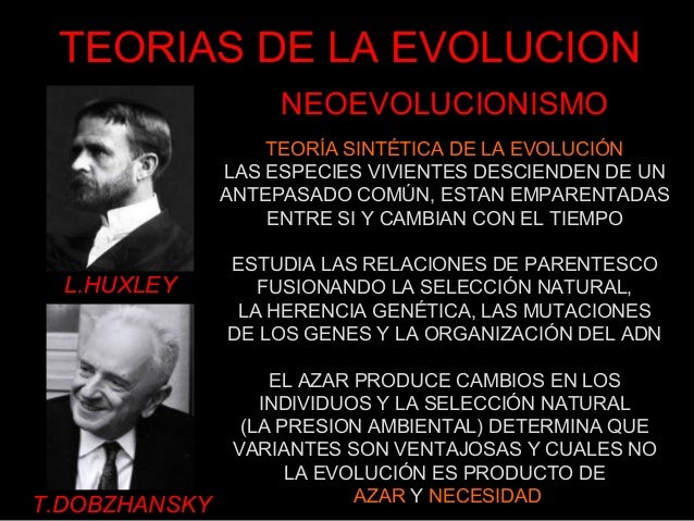 Teorias de la evolucion