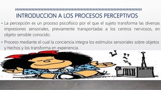 Teorias de la percepcion | PPTX