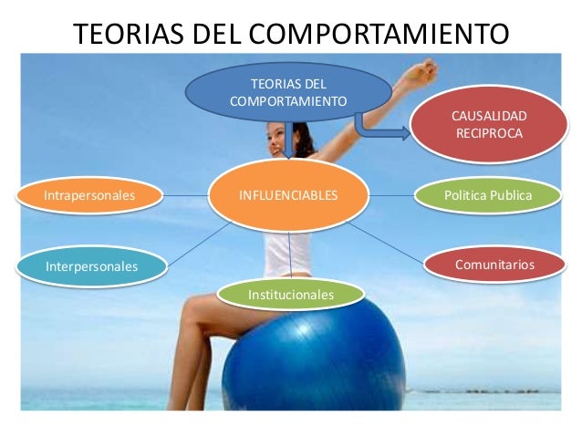 Comprende el comportamiento humano con la teoría adecuada ★ Teoría Online