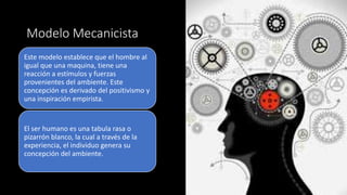 teorias del desarrollo.pptx