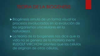 Teorias del origen de la vida | PPTX