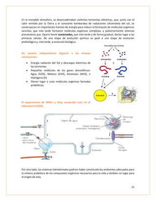 Teorias del origen de la vida | PDF