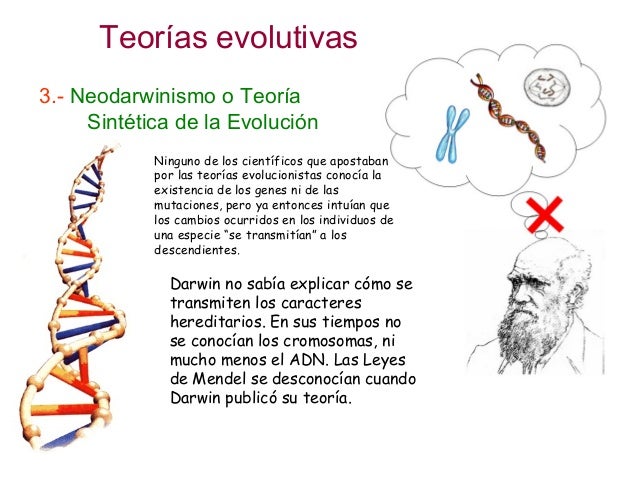 1º Civilización U1º: Las teorías evolucionistas