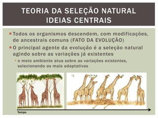 teoria evolutiva de Darwin - Evolução por meio de seleção natural | PDF