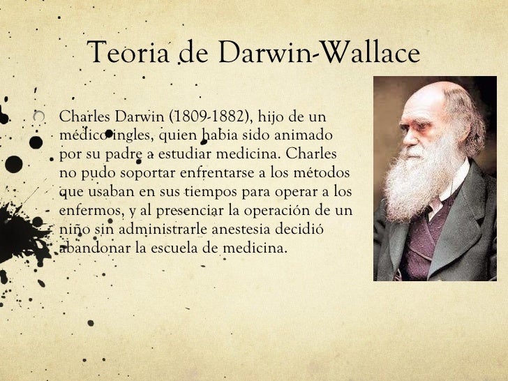 La Teoría de la Evolución de Wallace: Descubre sus Secretos ★ Teoría Online