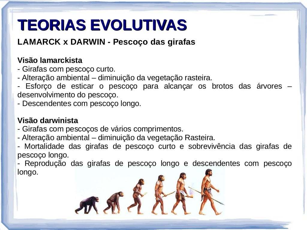 Teorias evolutivas