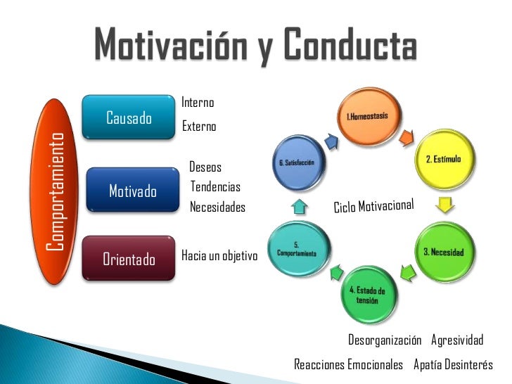 Teorias motivacionales[comportamiento]