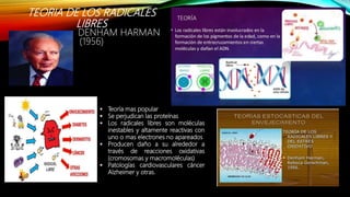 Teorias de gerontologia | PPTX