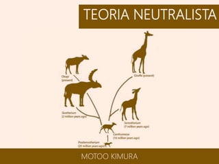 Teorias sobre a Origem das Espécies | PPTX