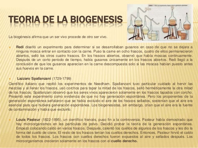 Teorias sobre el origen de la vida