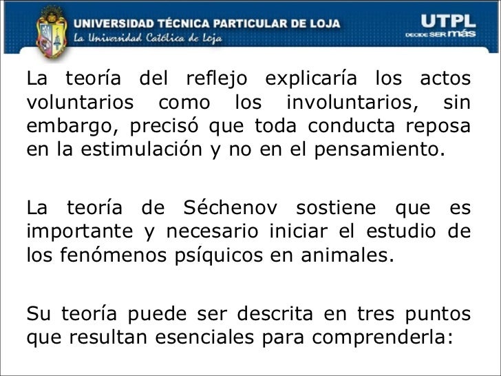 Descubre la Teoría del Reflejo: Todo lo que necesitas saber ★ Teoría Online