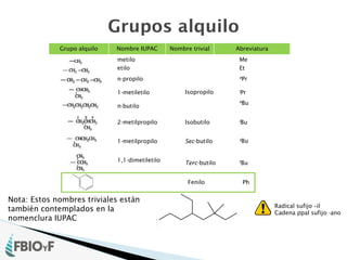 Teoria(taller) Nº1 (1)45648748468468464.pdf