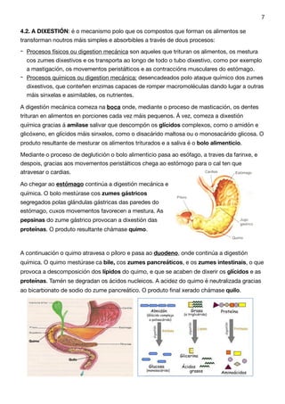 Teoria_Tema_Aparello_Dixestivo_final.pdf | Free Download