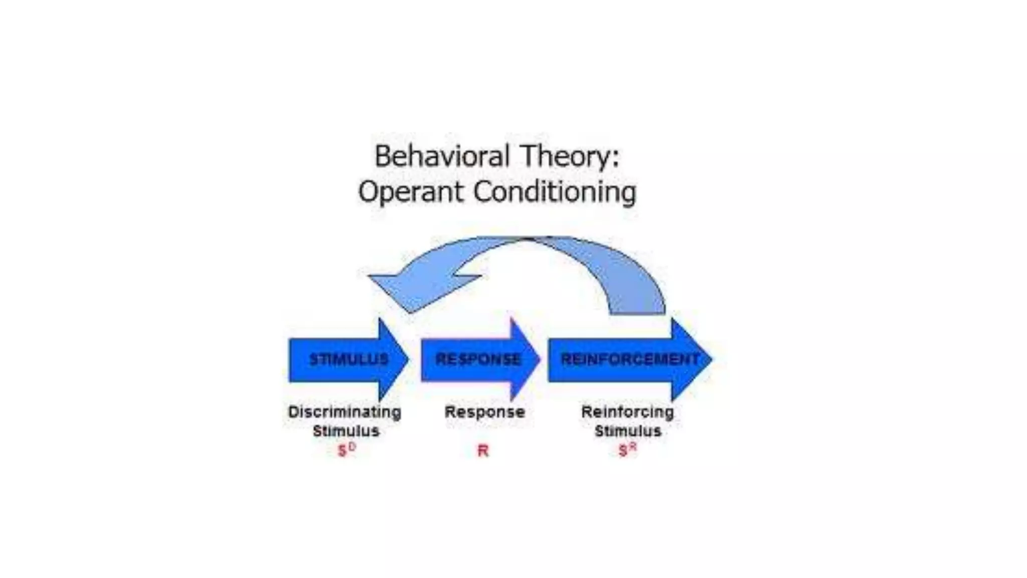 TEORI BEHAVIOR SKINNER | PPTX
