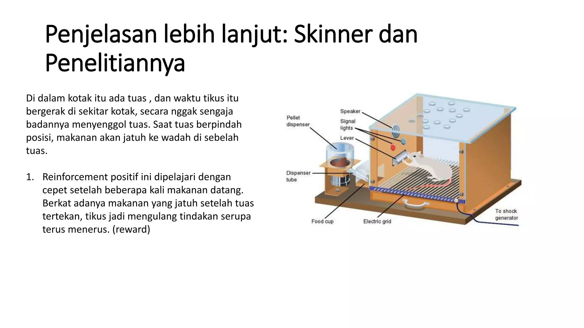 TEORI BEHAVIOR SKINNER | PPTX