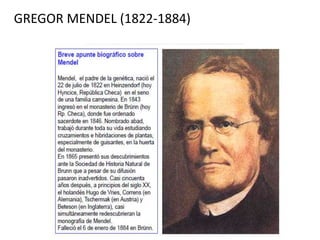 Teorias y leyes de mendel definicion y ejemplos.ppt