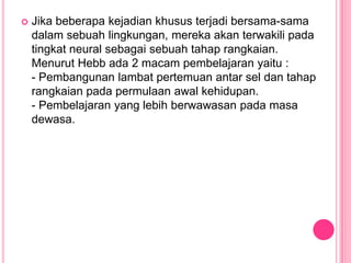 Teori cell assembly donald o.hebb