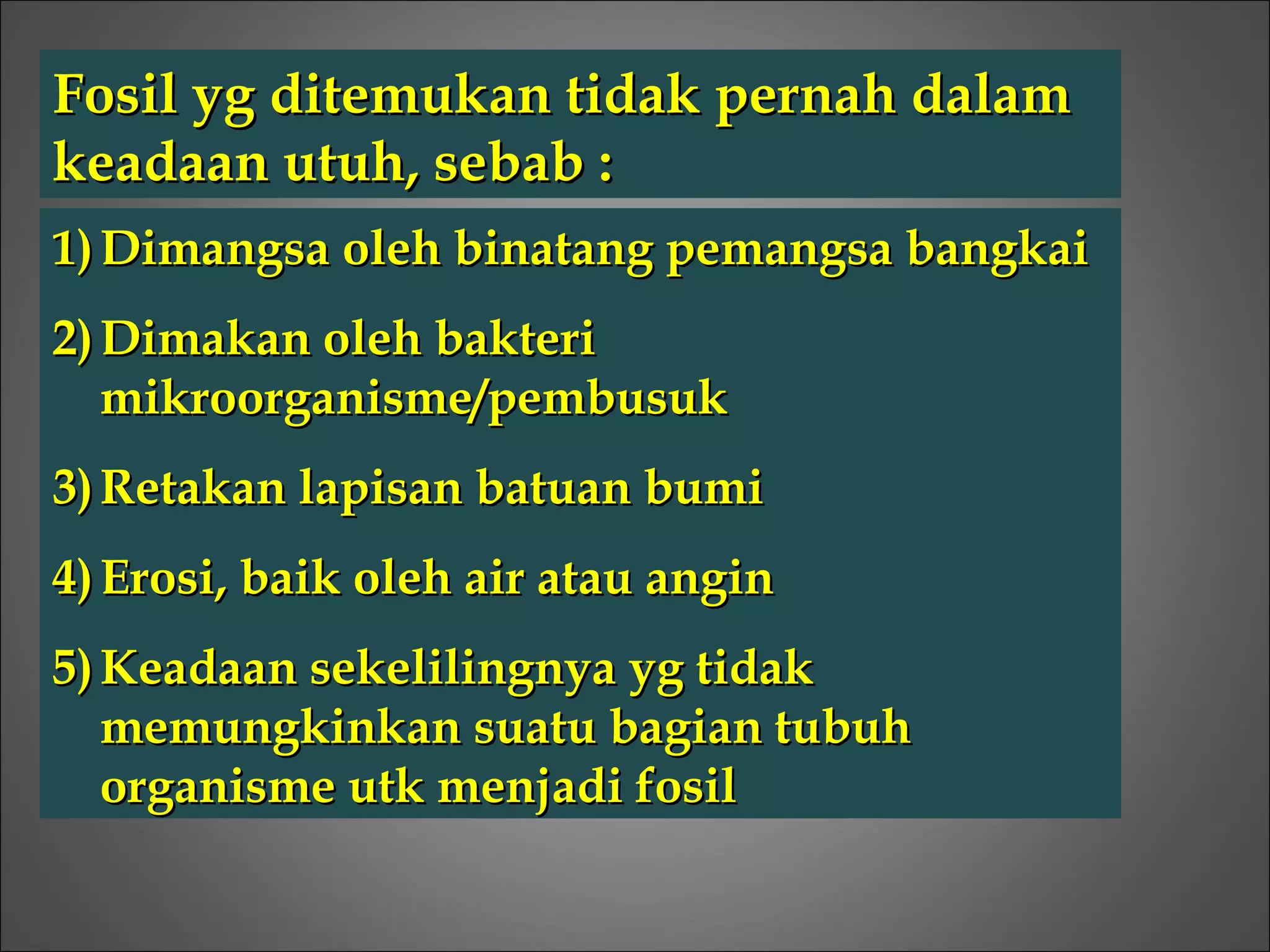 Teori evolusi Power Point | PPT