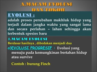 Teori evolusi Power Point | PPT