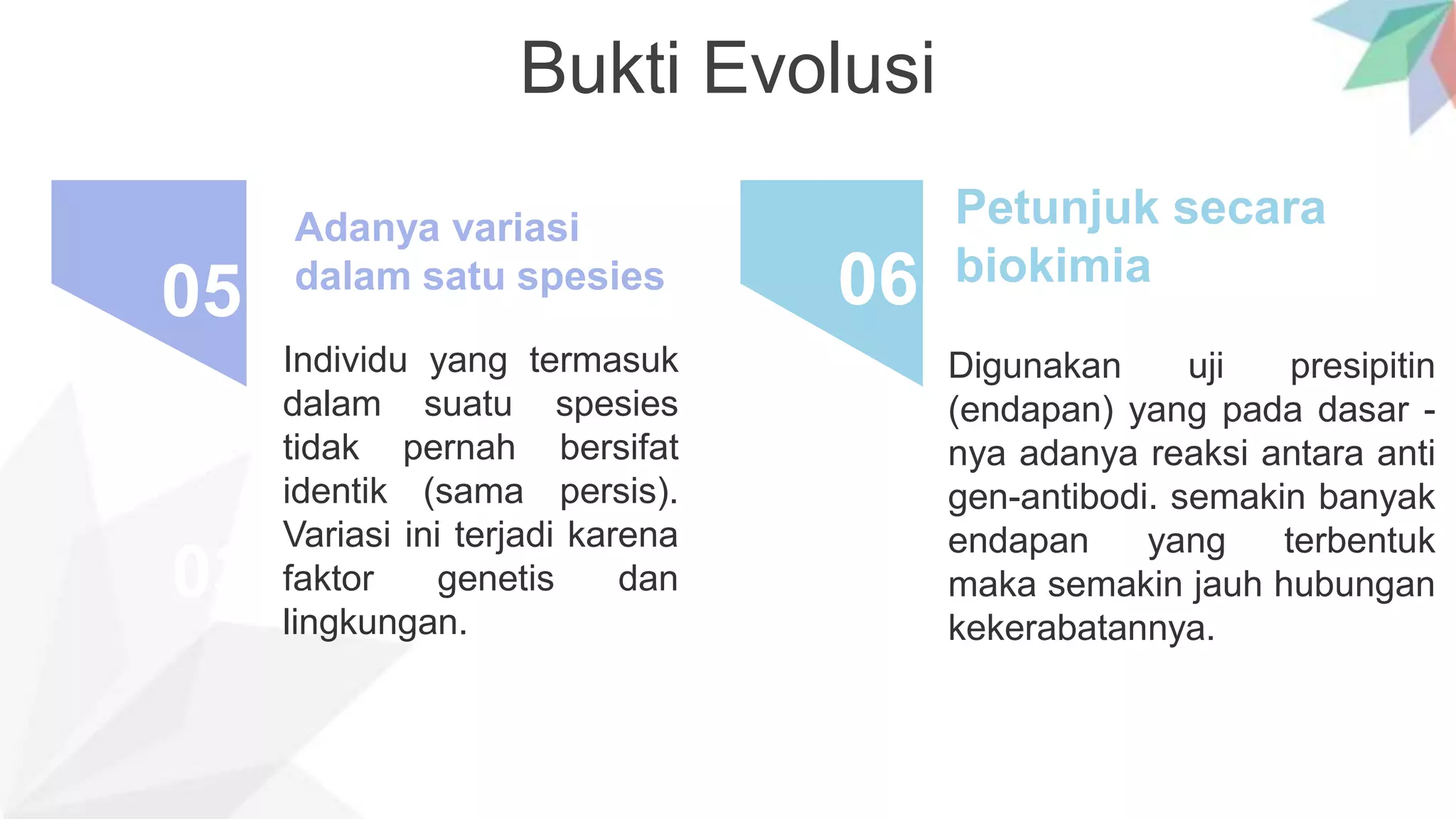 Teori evolusi.ppt